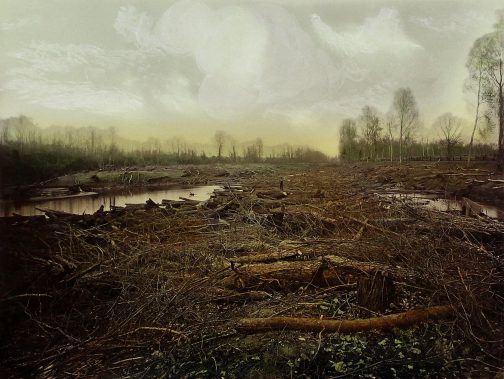 The Red River Raft - Lisa Land Cooper