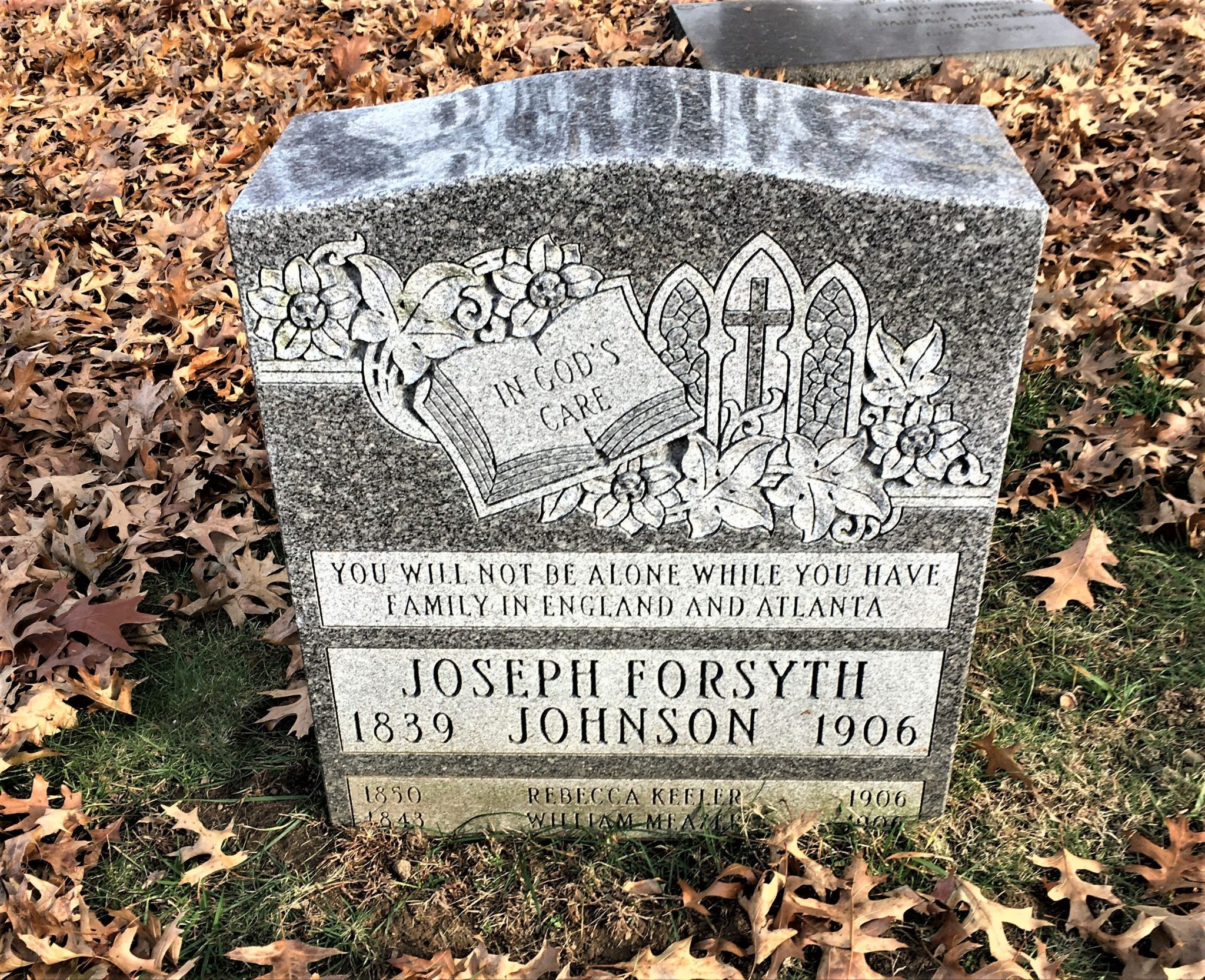 Joseph Forsyth Johnson: Landscape Architect - Lisa Land Cooper